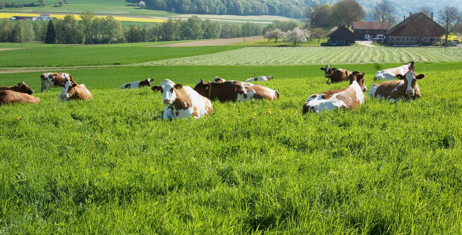 The Agroscope joins the SFNV. - Swiss Food & Nutrition Valley