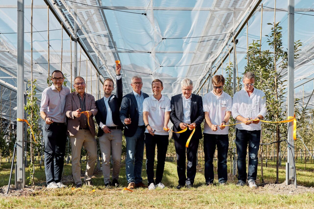 Insolight opens its first agrivoltaic orchard installation in Conthey ...